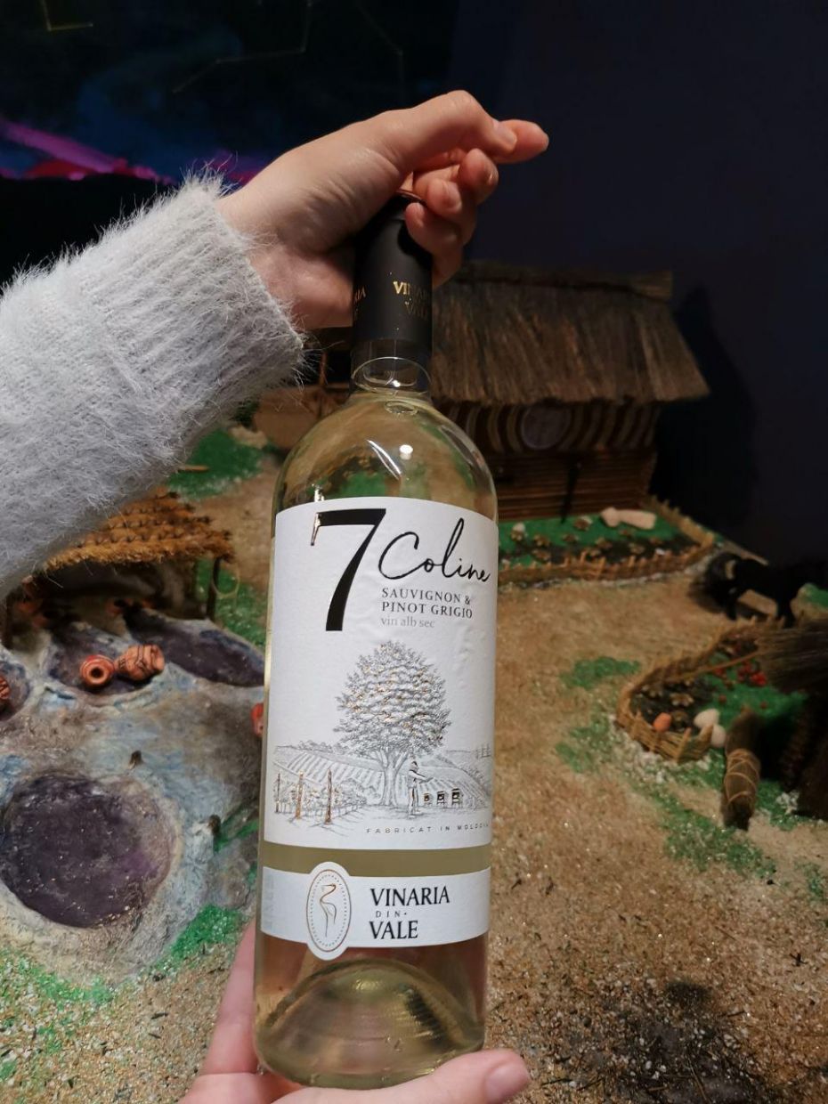 (foto) Roada de pe 7 coline. Vinăria din Vale a lansat o nouă gamă de ...